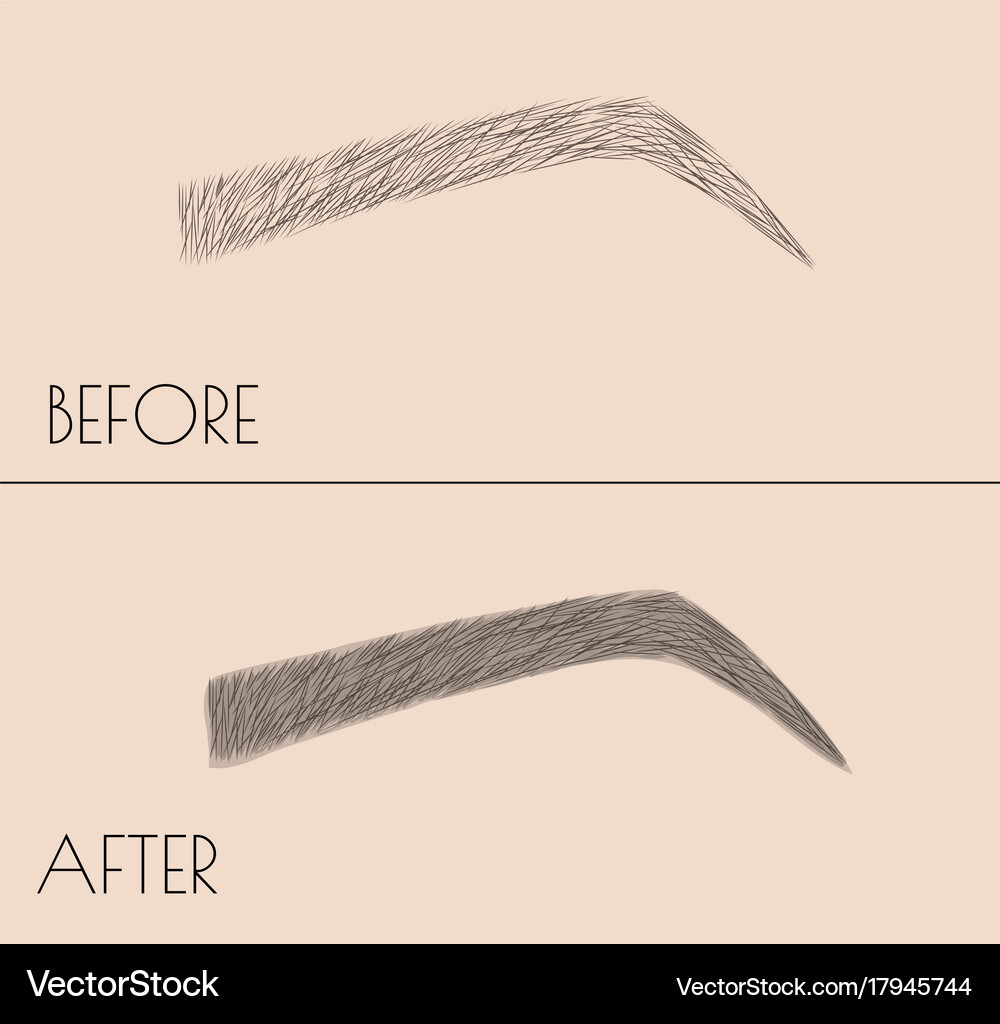 Permanent makeup correction shape Royalty Free Vector Image