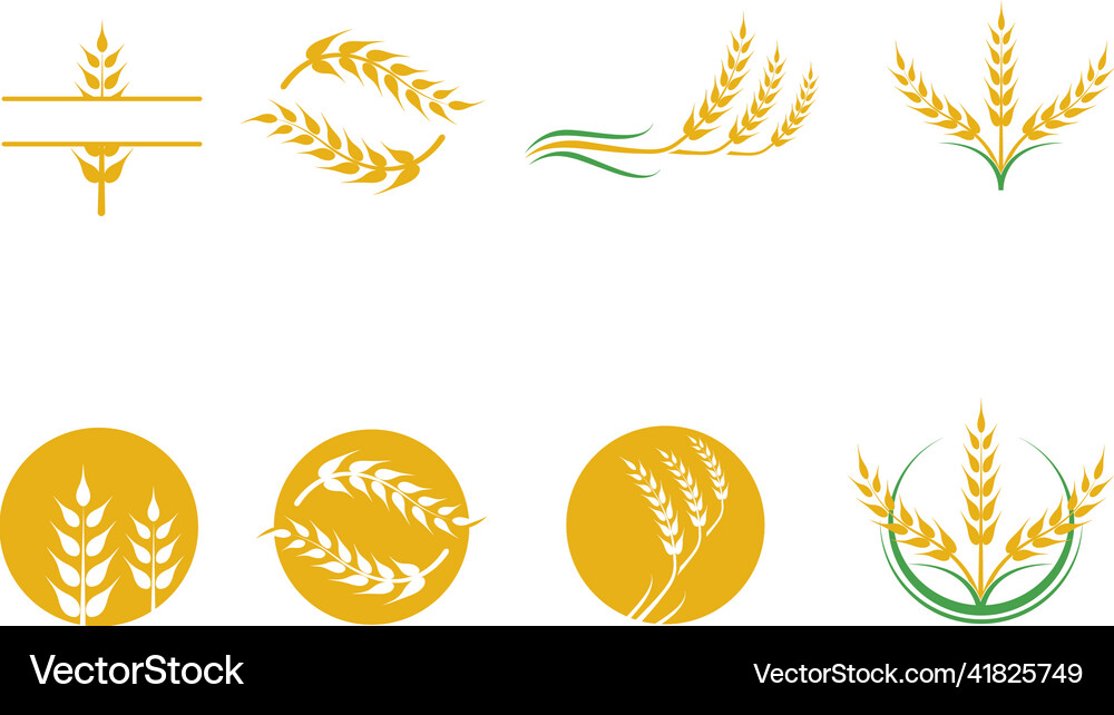 Wheat agriculture logo and symbol Royalty Free Vector Image
