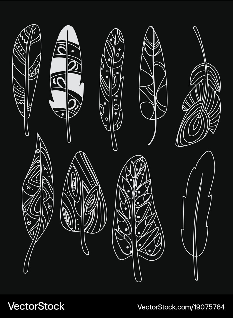Set stylized bird feathers collection Royalty Free Vector