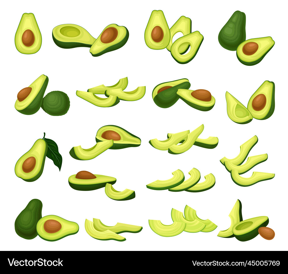 Avocado bright green whole and half fruit Vector Image