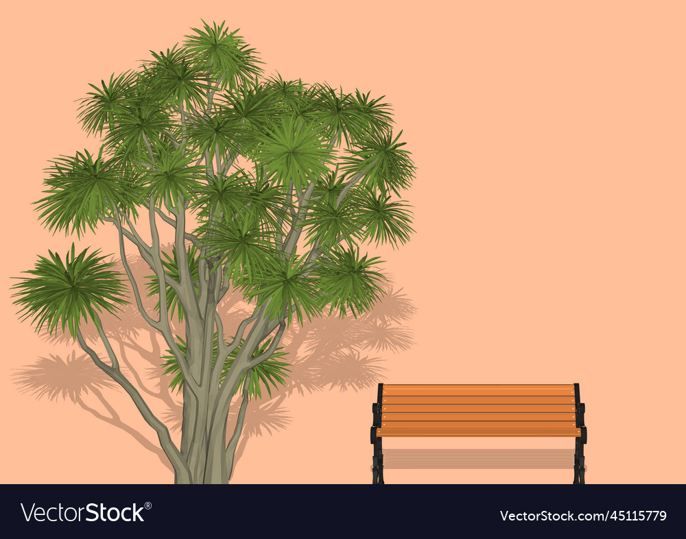 Backyard or patio furniture for relax and cooking Vector Image
