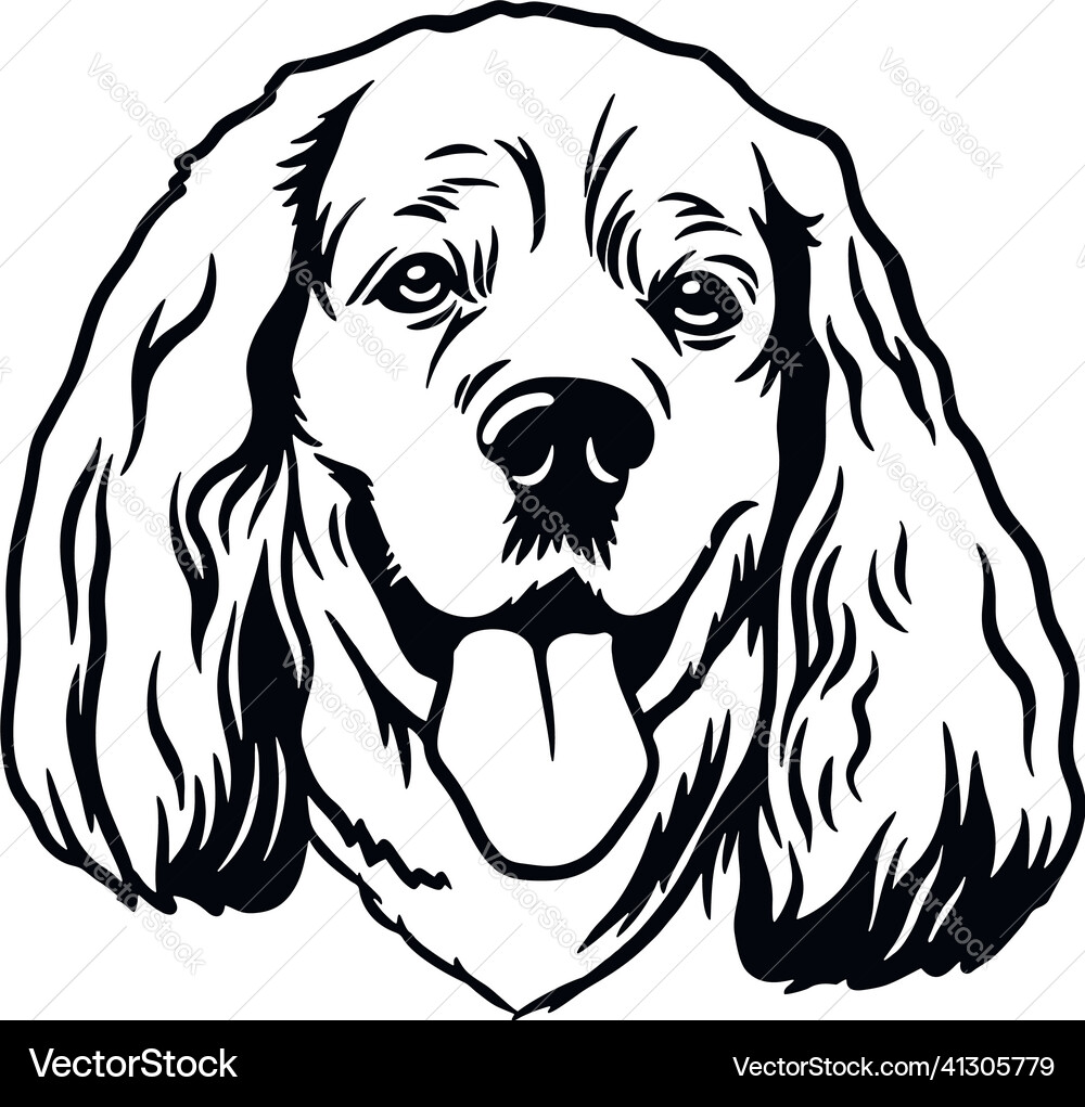 English cocker spaniel - funny dog file Royalty Free Vector
