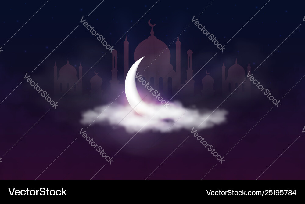 Ramadan kareem background muslim feast the Vector Image