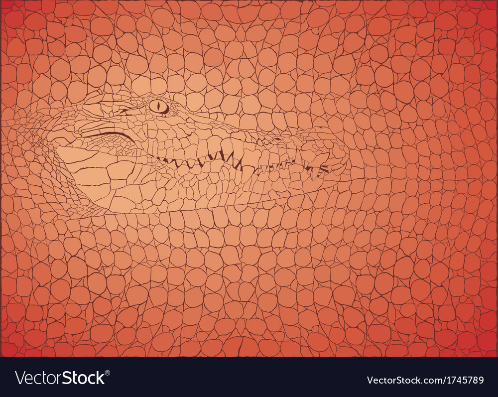 Pattern background crocodile Royalty Free Vector Image