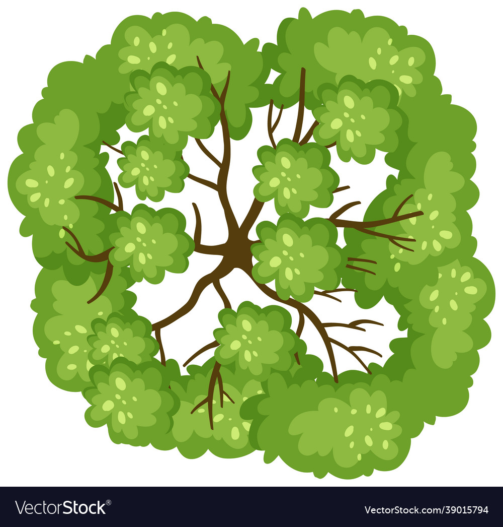 Aerial view with a tree isolated on white Vector Image