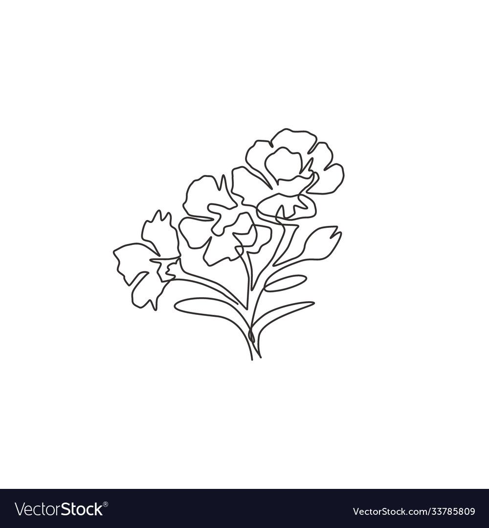 One Continuous Line Drawing Beauty Fresh Dianthus Vector Image