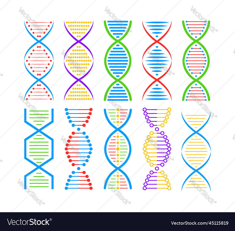 Dna structure icon set molecule Royalty Free Vector Image Dna structure icon set molecule Royalty Free Vector Image