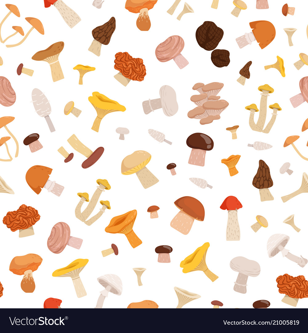 Pattern or background Royalty Free Vector Image