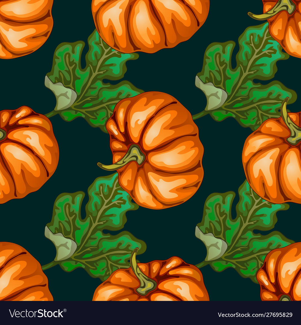 Autumn harvest pumpkins Royalty Free Vector Image