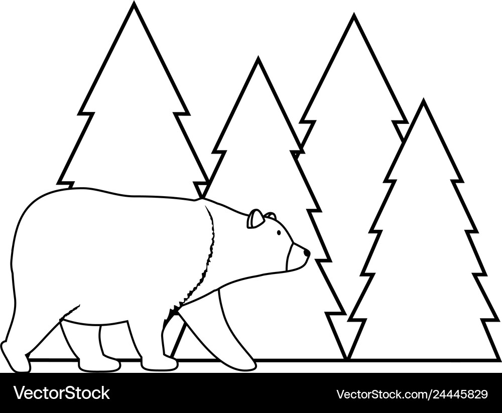 Pines trees forest scene with bear grizzly Vector Image
