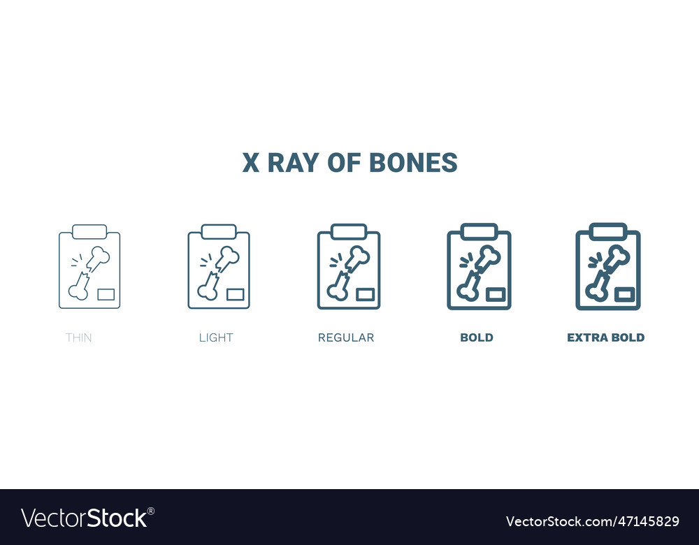 X ray of bones icon thin light regular bold black Vector Image