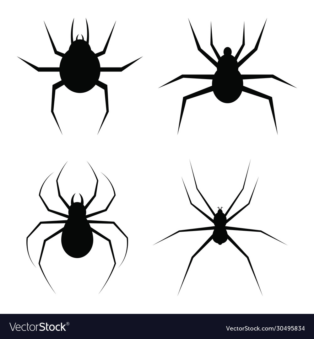 Spider set Royalty Free Vector Image - VectorStock