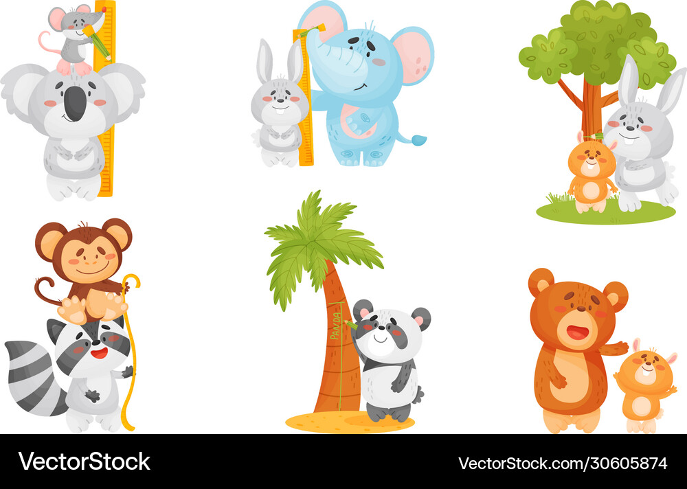 Funny animals measuring and comparing heights Vector Image