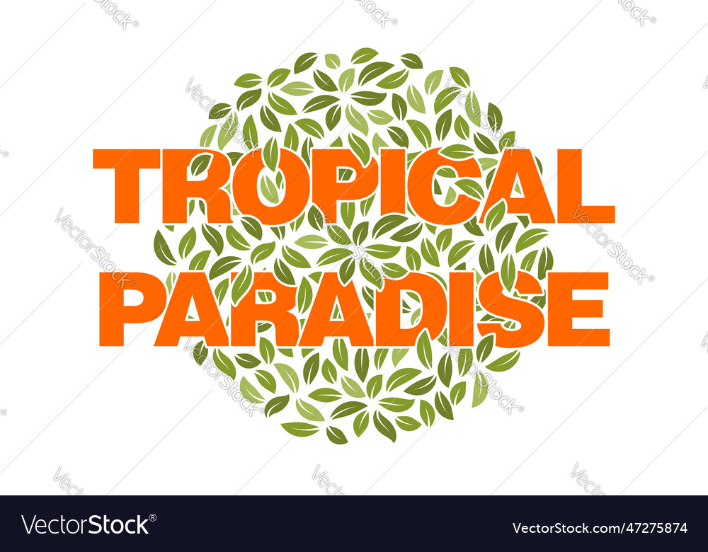 Summer Slogan For T Shirt With Word And Leaf Vector Image