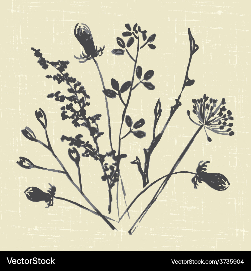Dry grass Royalty Free Vector Image - VectorStock