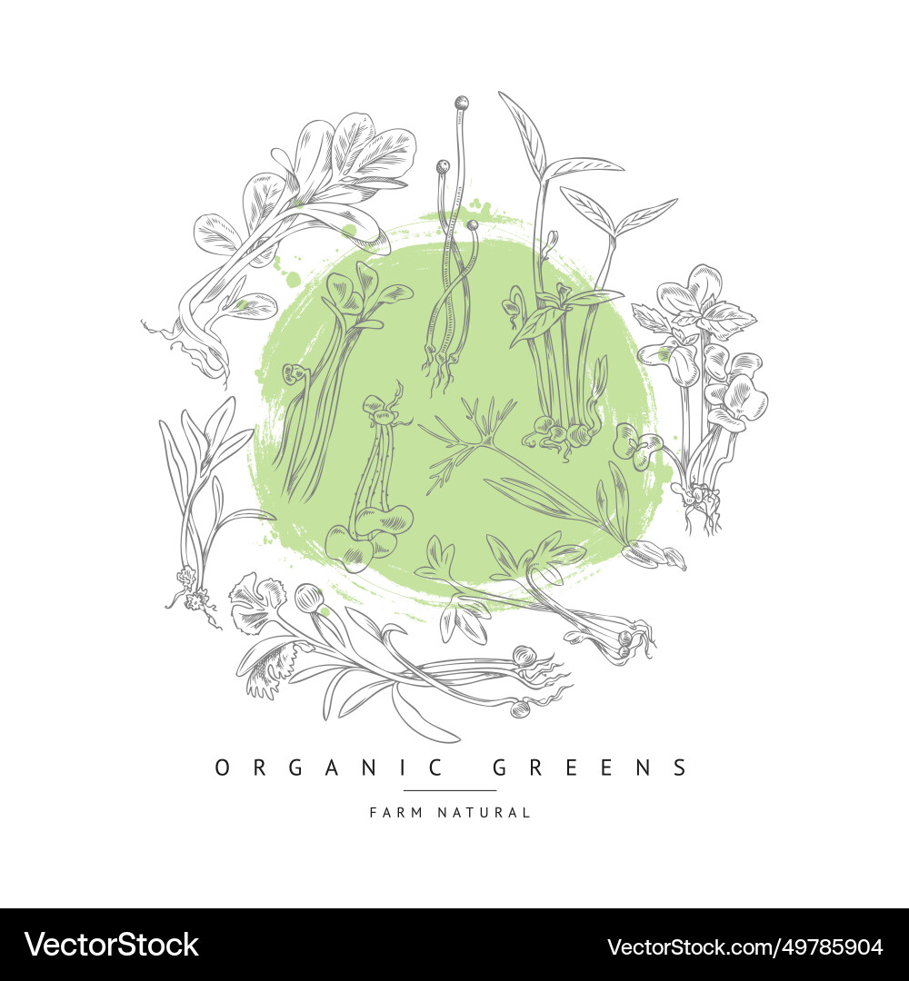 Fresh microgreens round label natural farm Vector Image