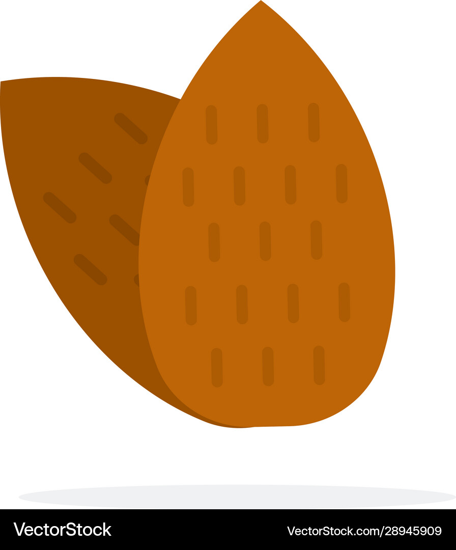 Almonds vertically flat isolated Royalty Free Vector Image