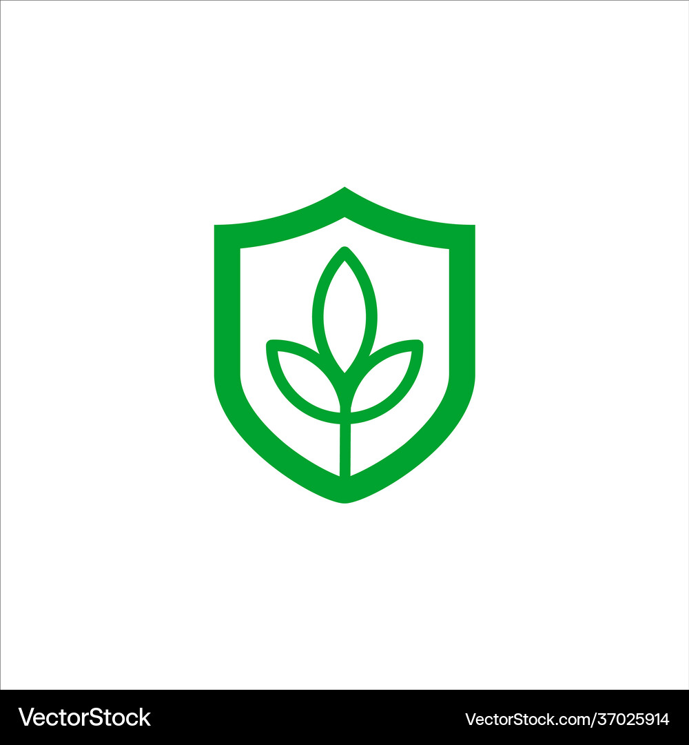 Nature or green shield logo template this graphic Vector Image