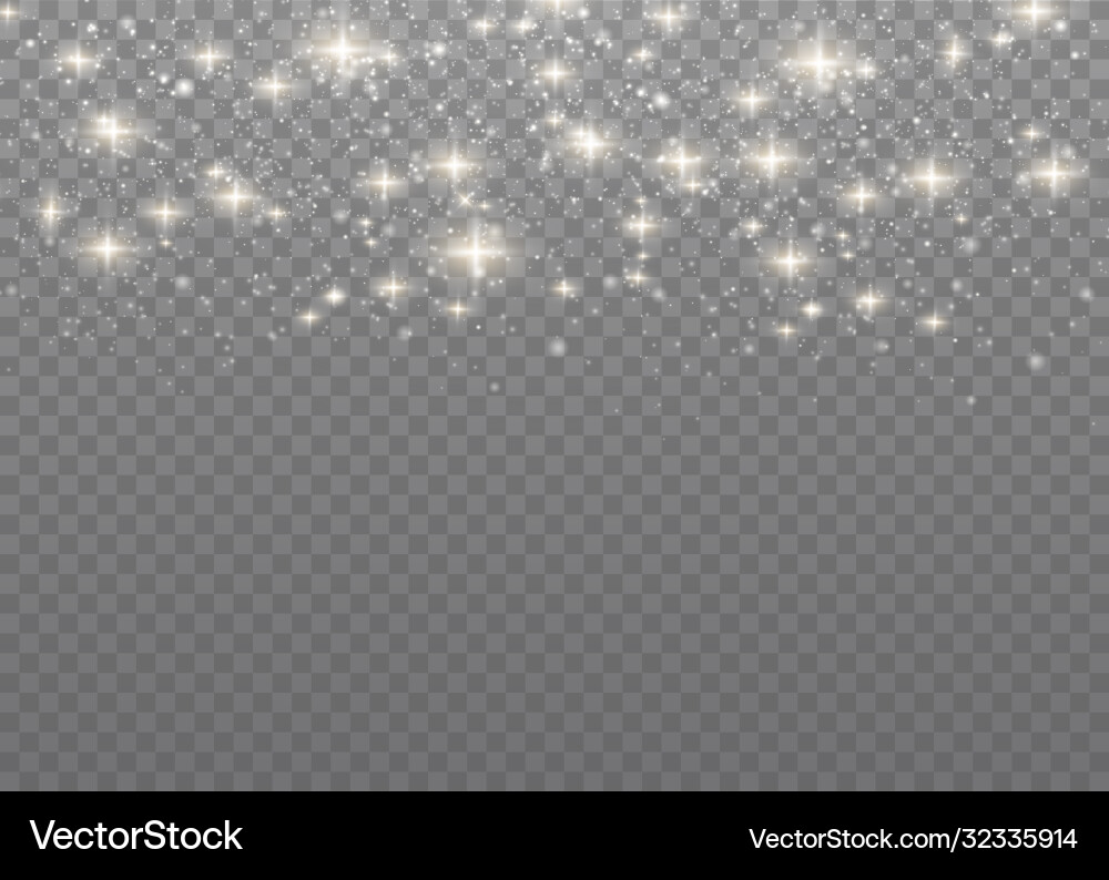 Sparkling dust particles Royalty Free Vector Image