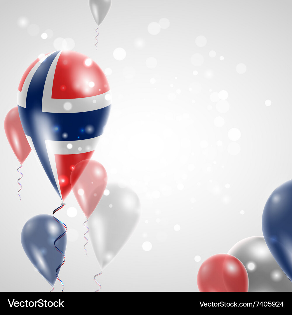 Norwegian national flag Royalty Free Vector Image
