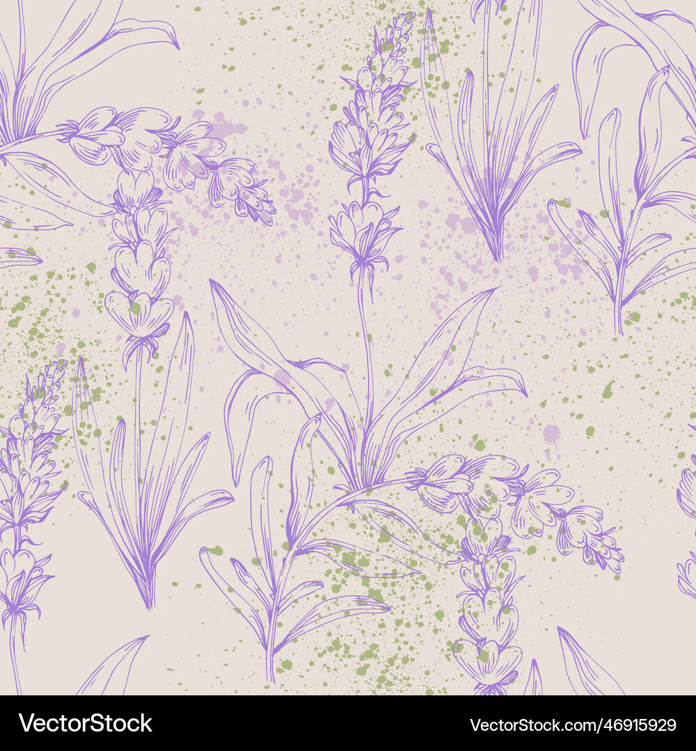 Lavender seamless pattern Royalty Free Vector Image