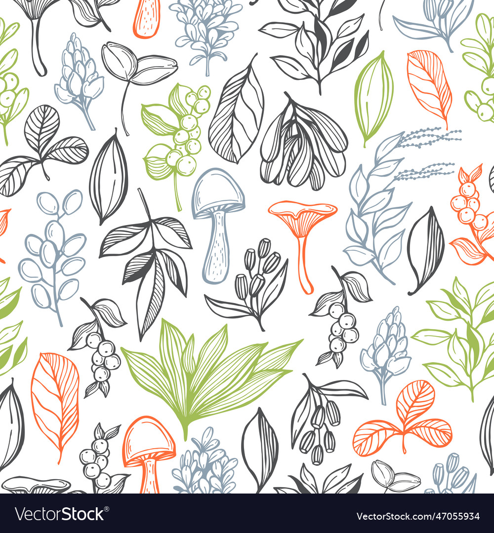 Botanical pattern Royalty Free Vector Image - VectorStock
