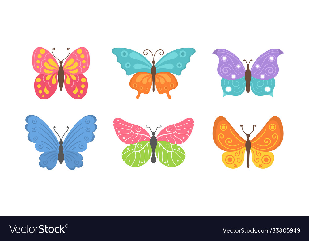 Summer insects butterfly Royalty Free Vector Image