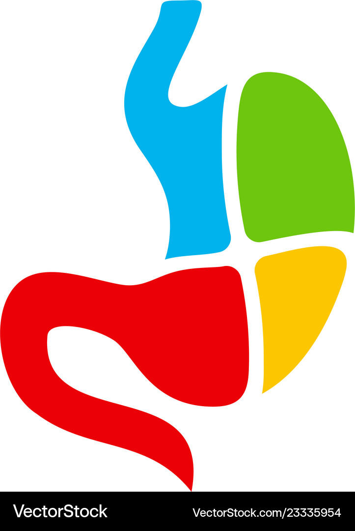 Stomach logo design concept with colorful Vector Image