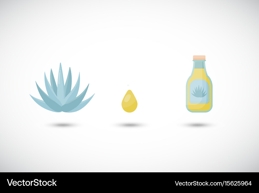 Blue agave syrup flat icons set Royalty Free Vector Image