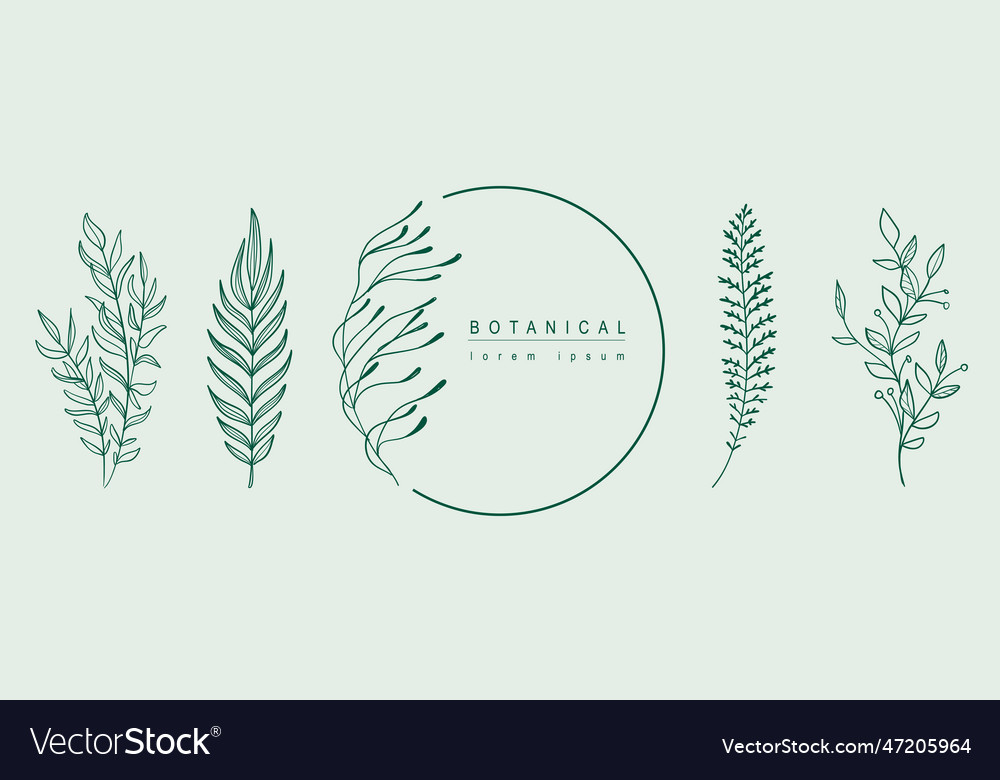 Botanical abstract background with floral line art