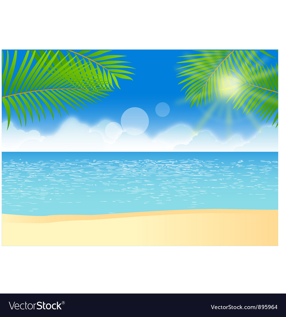 Tropical beach Royalty Free Vector Image - VectorStock