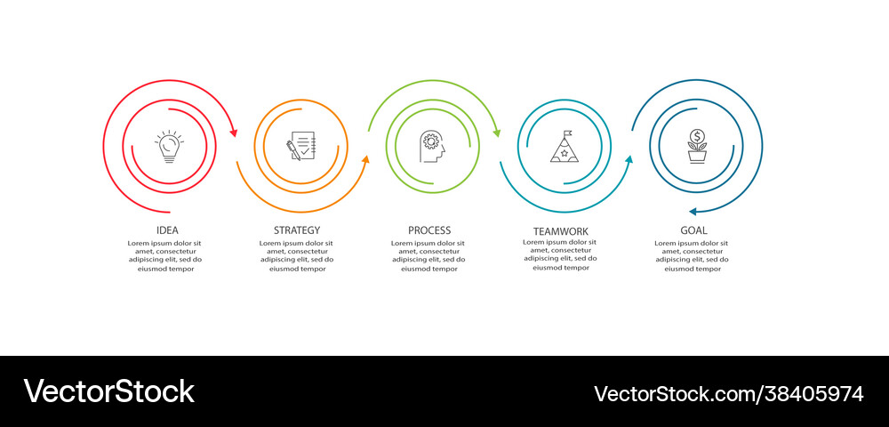 Circle elements graph diagram with 5 steps Vector Image