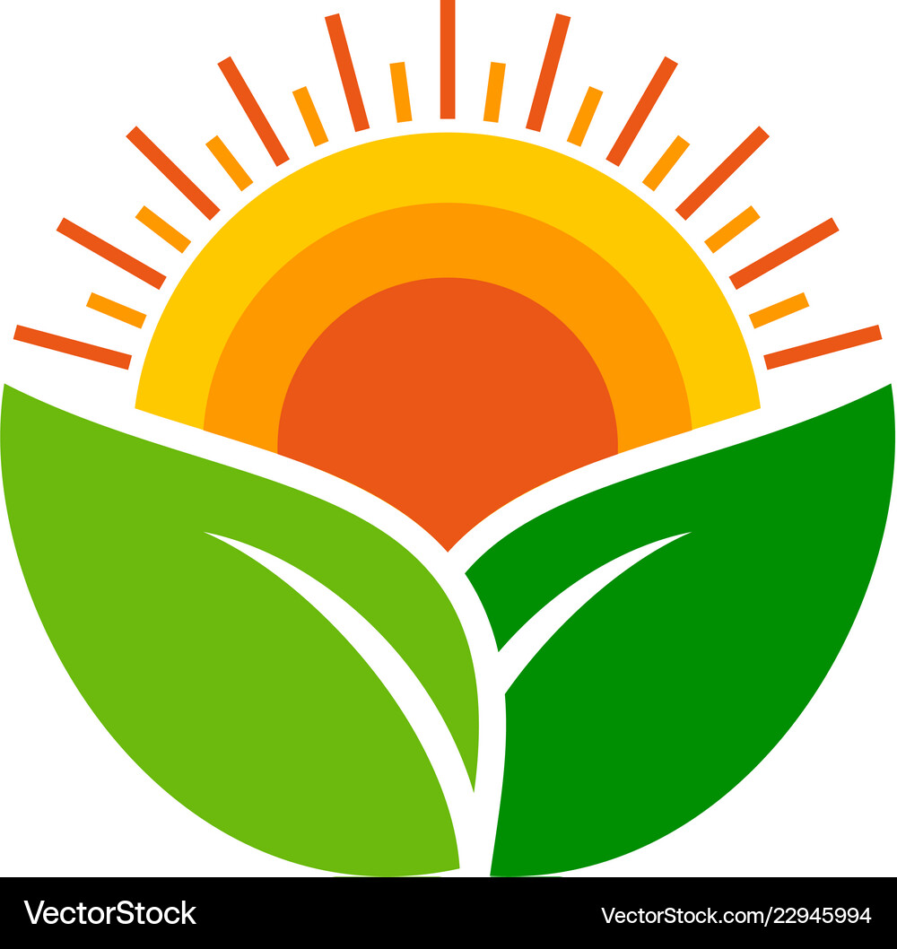 Leaf sun logo icon design Royalty Free Vector Image
