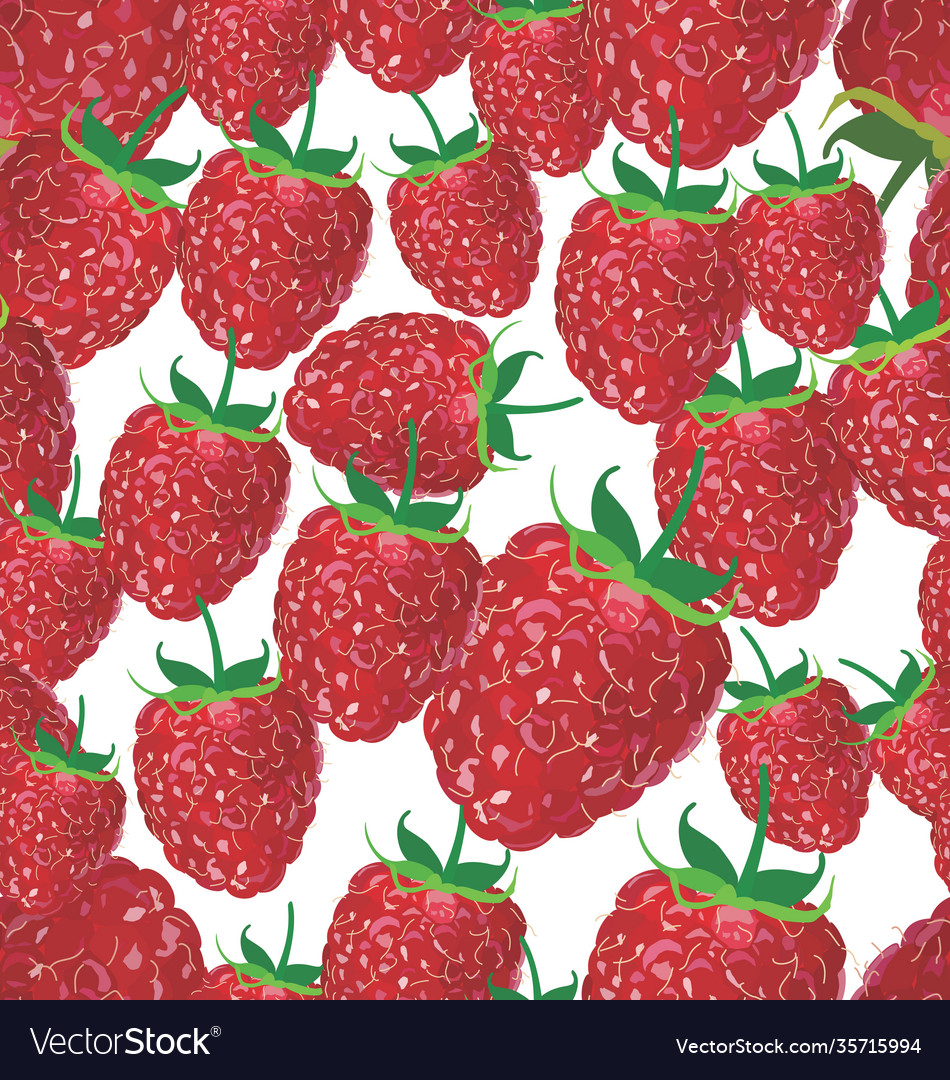 Seamless pattern with raspberry Royalty Free Vector Image