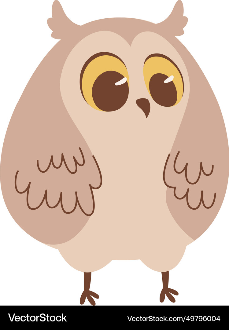 Owl standing bird Royalty Free Vector Image - VectorStock