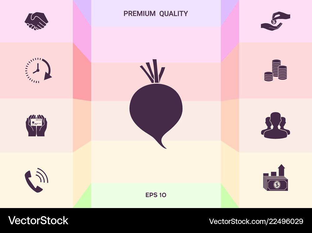 Beet root icon graphic elements for your design Vector Image