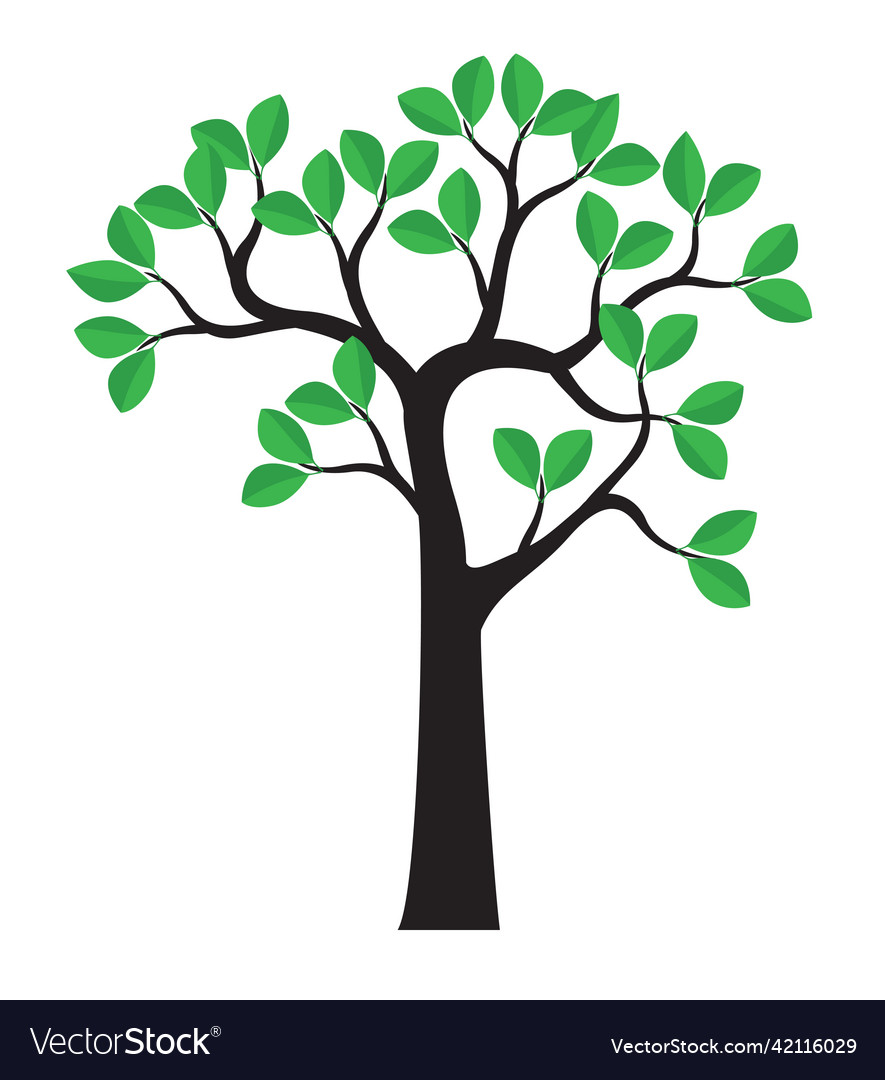 Green spring tree Royalty Free Vector Image - VectorStock