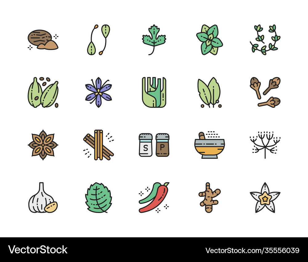 Set spice flat color line icons nutmeg Royalty Free Vector