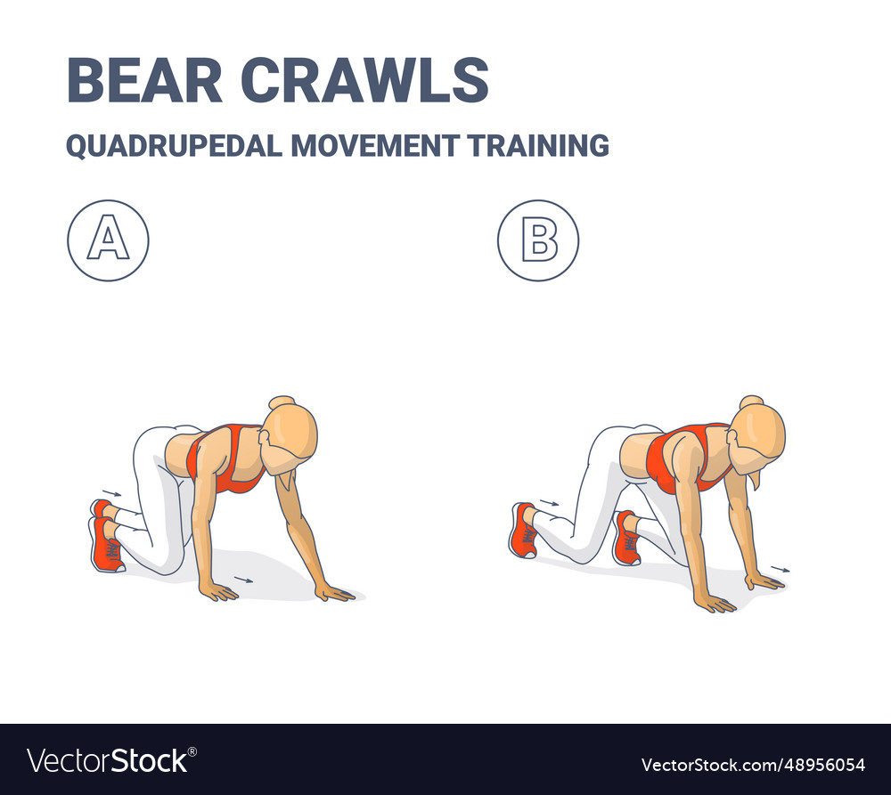 Bear crawls exercise women home workout guidance Vector Image Bear crawls exercise women home workout guidance Vector Image
