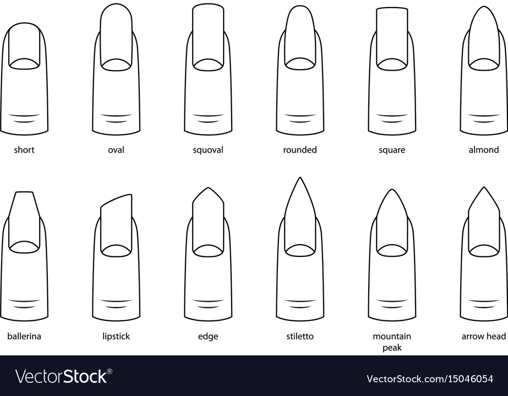 Nail Shapes Royalty Free Vector Image VectorStock