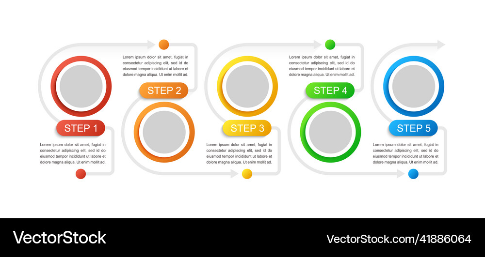 Human resource management infographic chart Vector Image