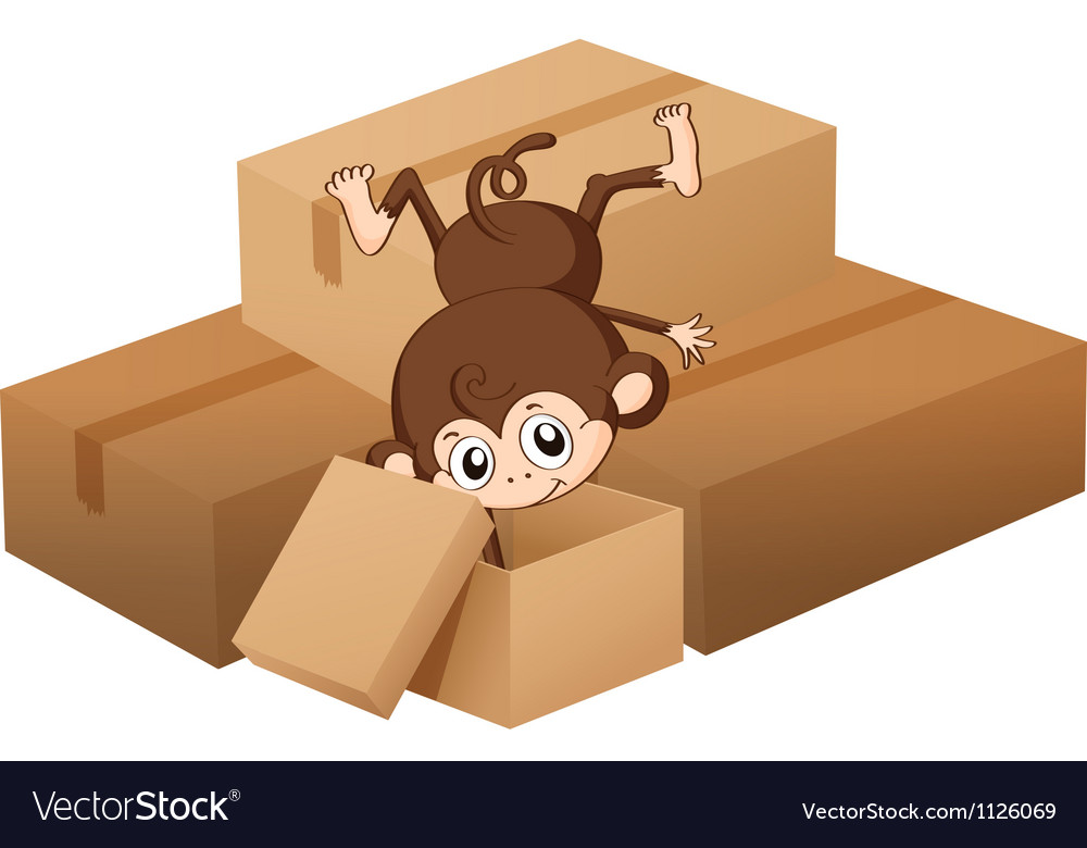 A monkey and boxes Royalty Free Vector Image - VectorStock