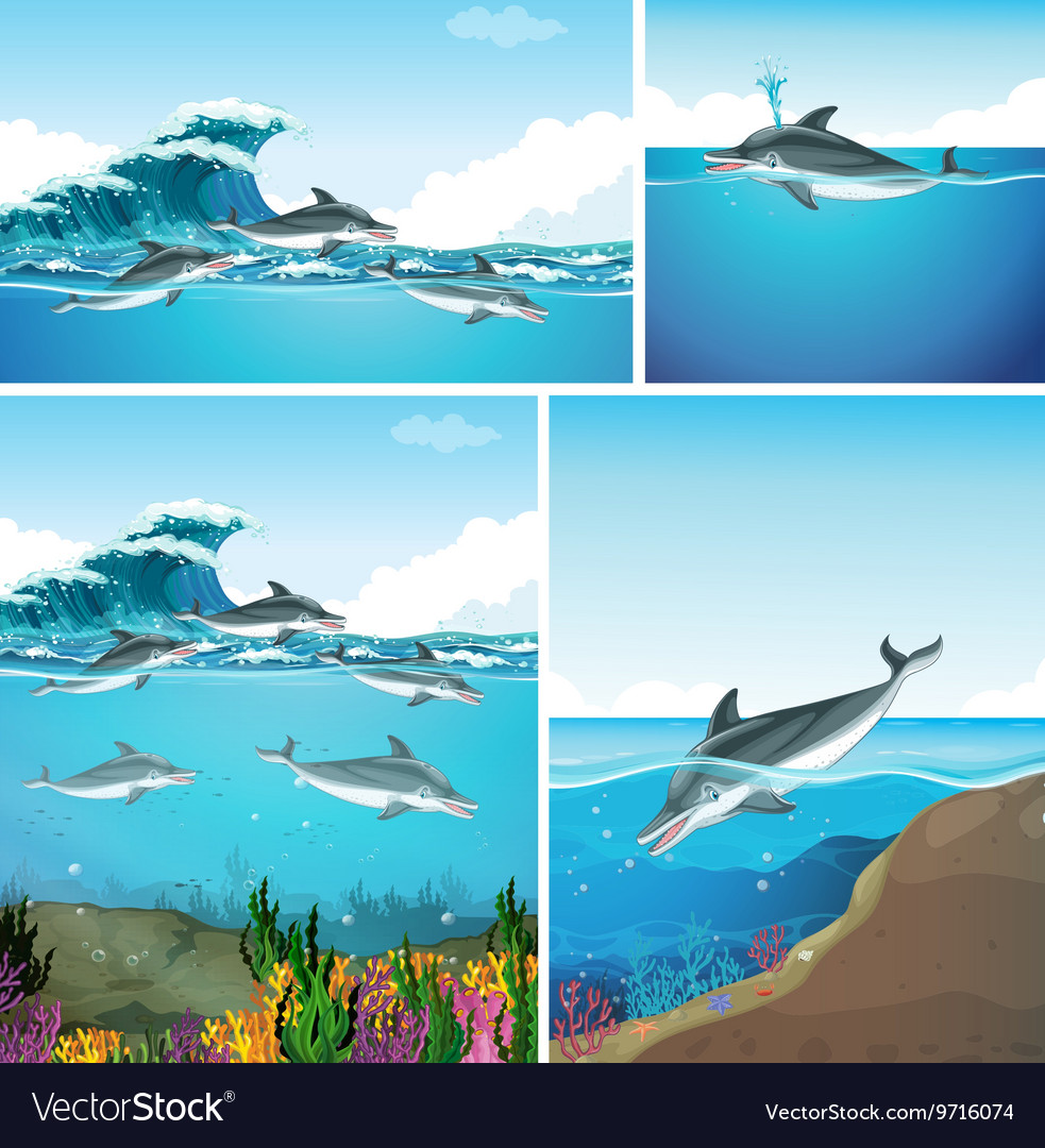 Dolphins swimming in ocean Royalty Free Vector Image