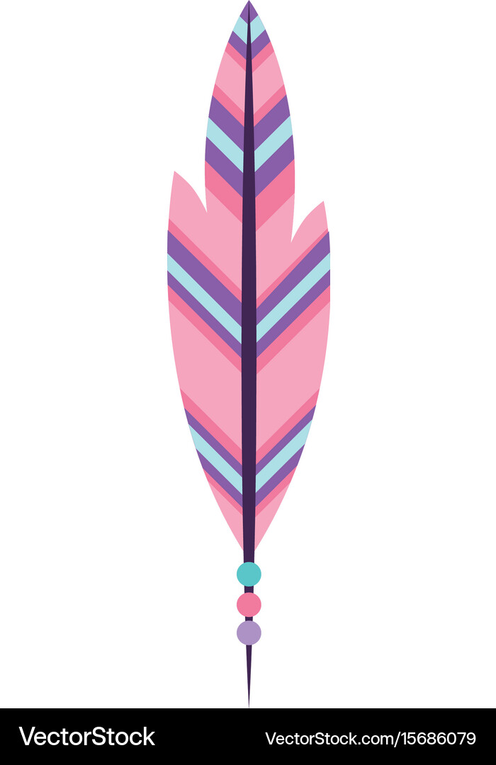 Boho style decorative feather Royalty Free Vector Image