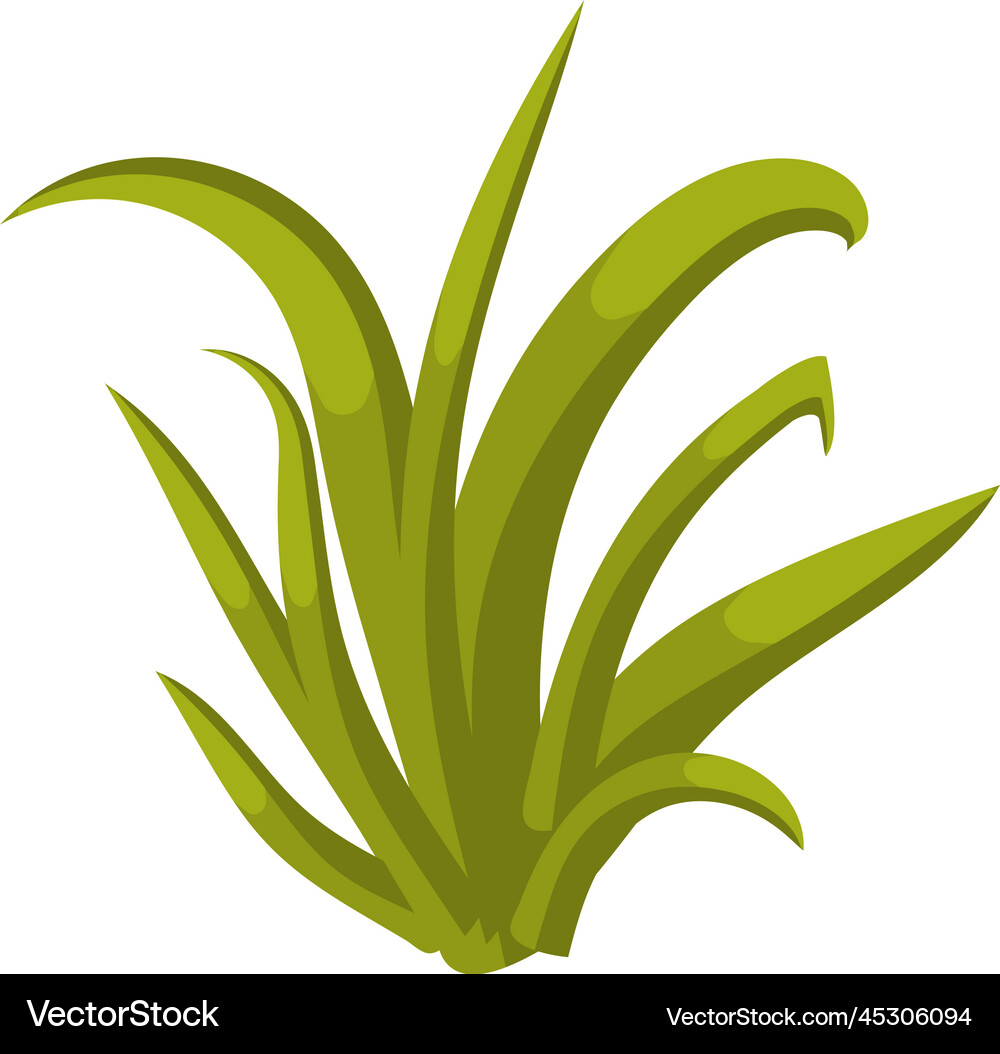 Grass patch Royalty Free Vector Image - VectorStock