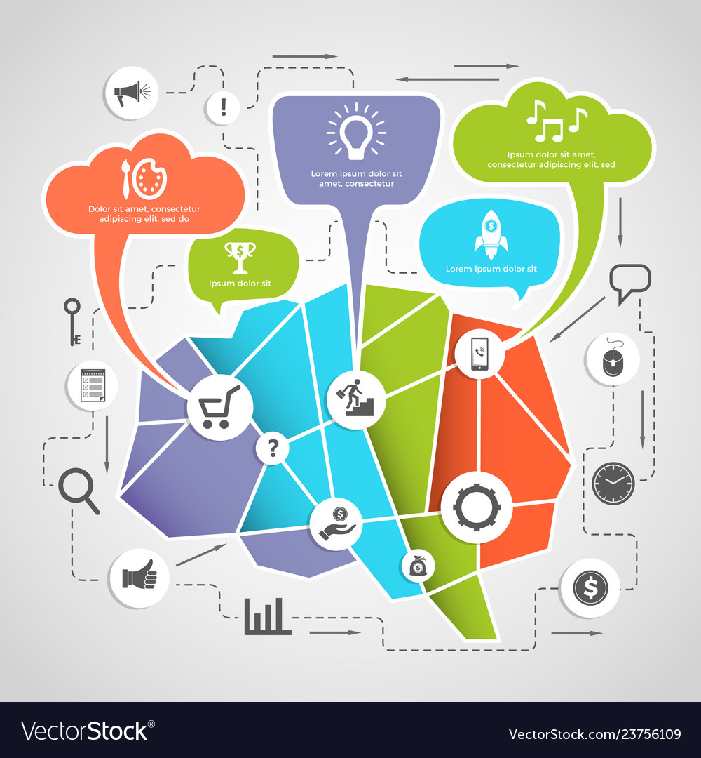 Brain infographic creativity learning thinking Vector Image
