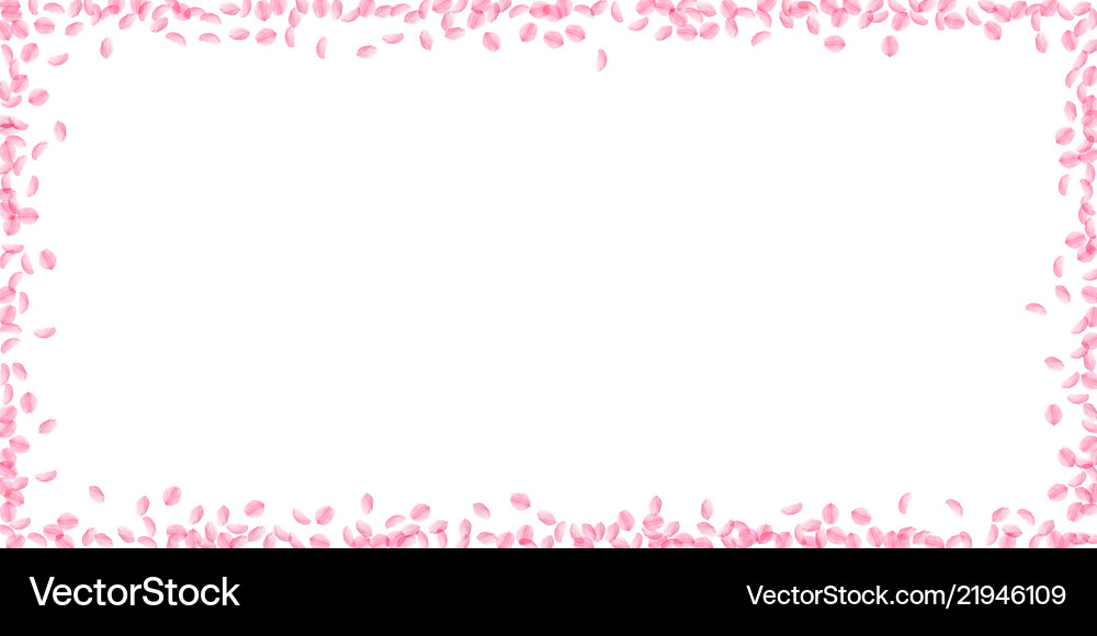 Sakura petals falling down Royalty Free Vector Image