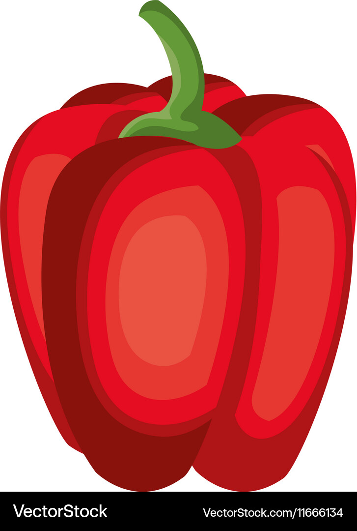 Paprica fresh vegetable isolated icon Royalty Free Vector