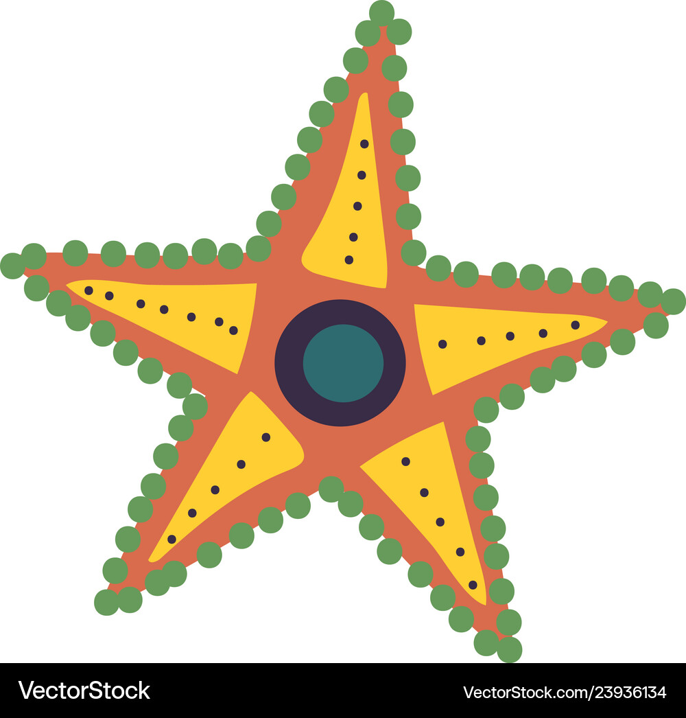 Starfish marine or ocean underwater creature Vector Image