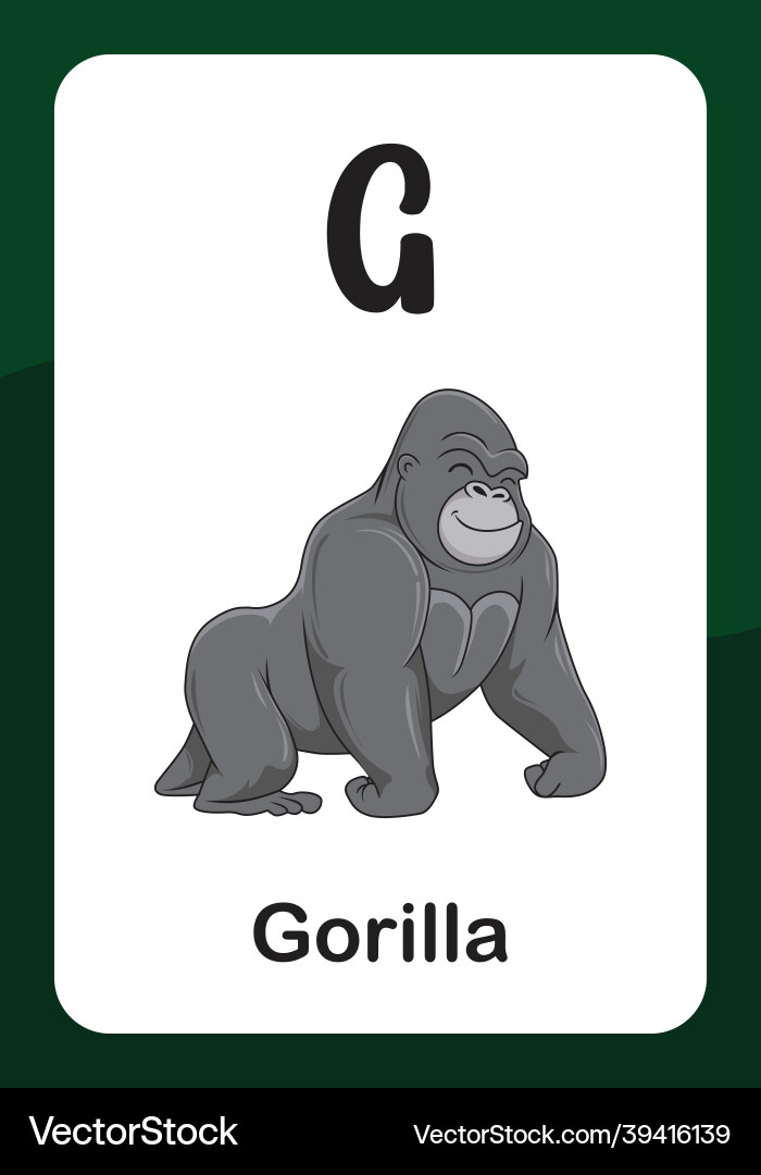 Animal alphabet flash card - g for gorilla Vector Image